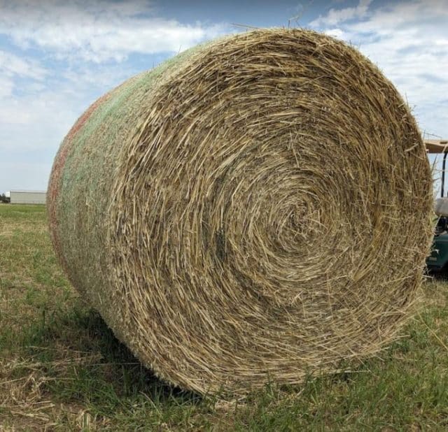 Buy Hay Bales for sale - Bulk Wholesale Supplier